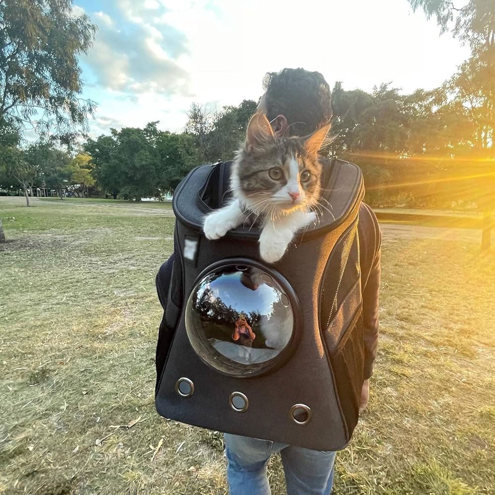 Cat backpacks – Zoospot